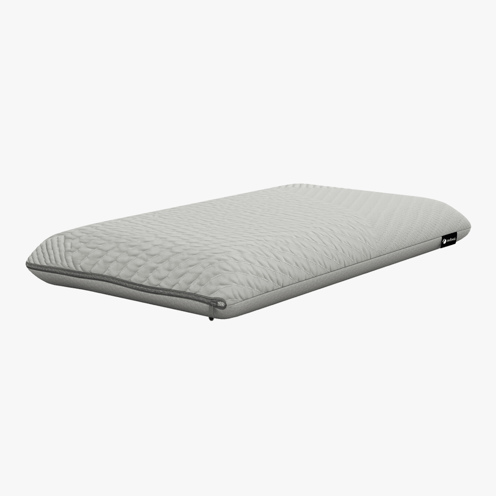 Zedbed Cloud ZX 3″ Pillow - Matelas Bonheur